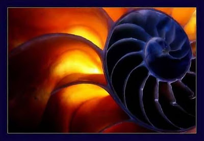 Events and Gossips: Collection of very strange shells