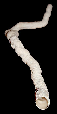 Histoires d'eau: Une histoire de Kuphus