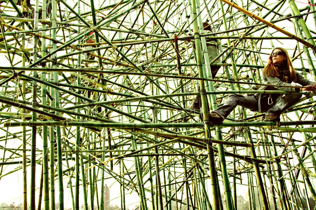 MEGGOMANIA: BIG BAMBU ON THE MET ROOF!