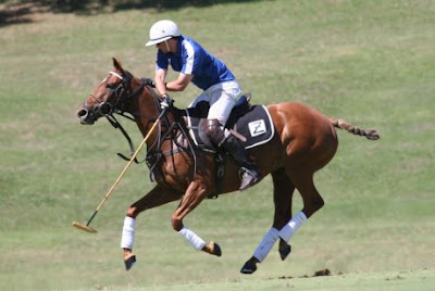 Polo Blue: KERRY PACKER CHALLENGE CUP DAY 5