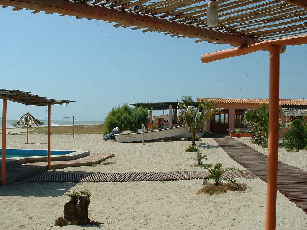 Diversidad de Noticias: De Talara