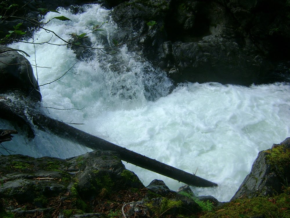 Ocean In View: September 2010