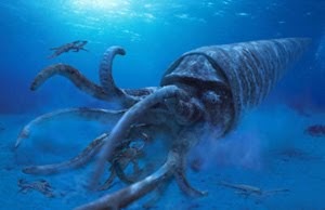 Variety of Life: Endoceratidae