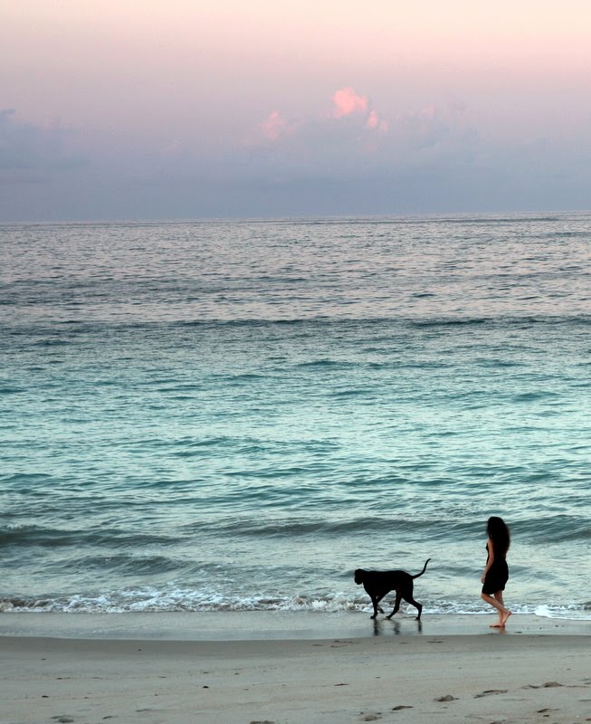 Style Key West: Color Stories: Local Color Inspiration