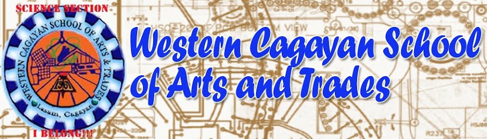 WCSAT ヅ: Anatomical Snuff Box