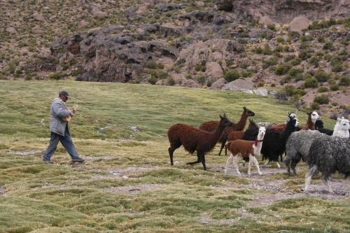 Pueblos Originarios de Chile: Aymara
