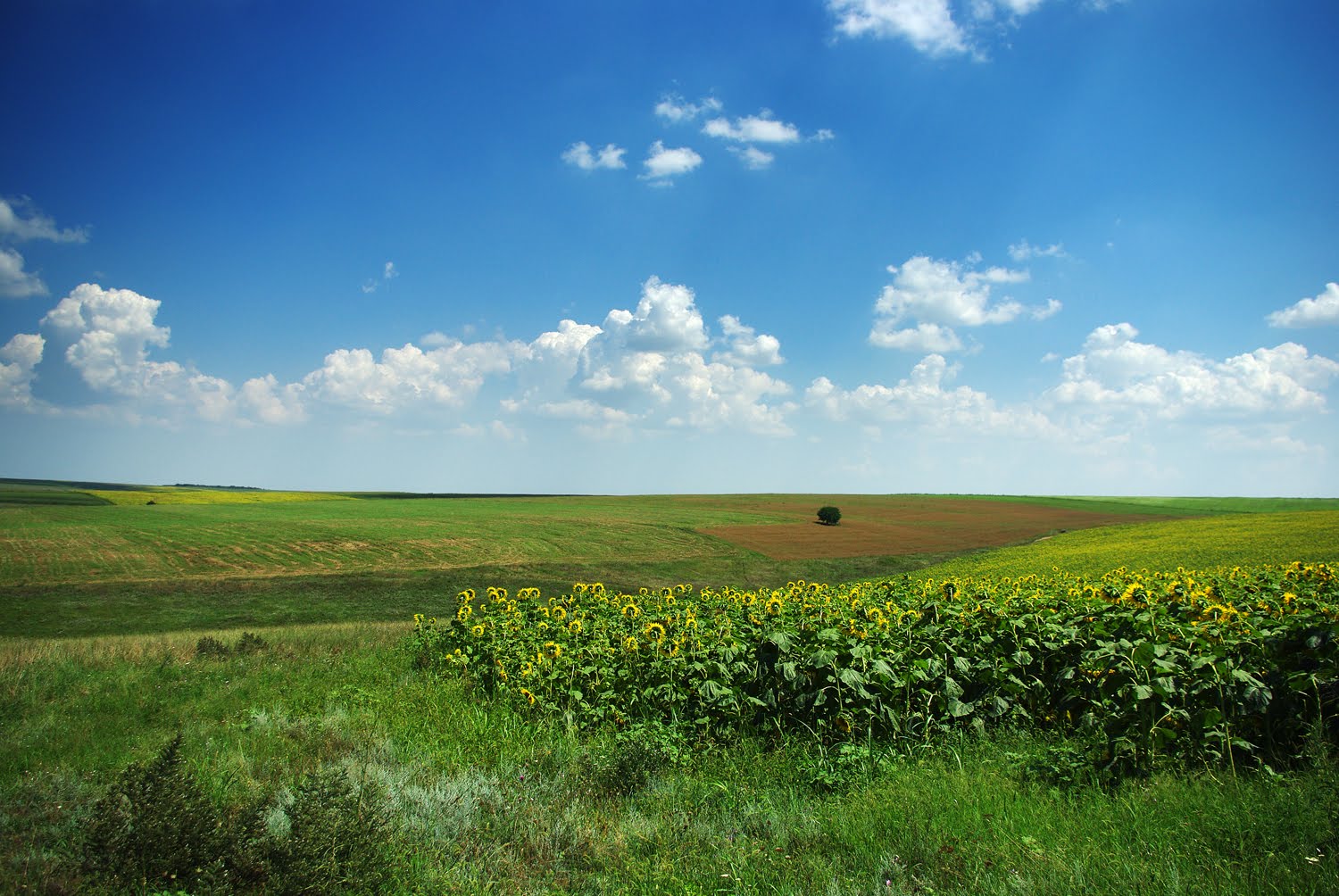 Romanian pics | Page 2 | Adventure Rider