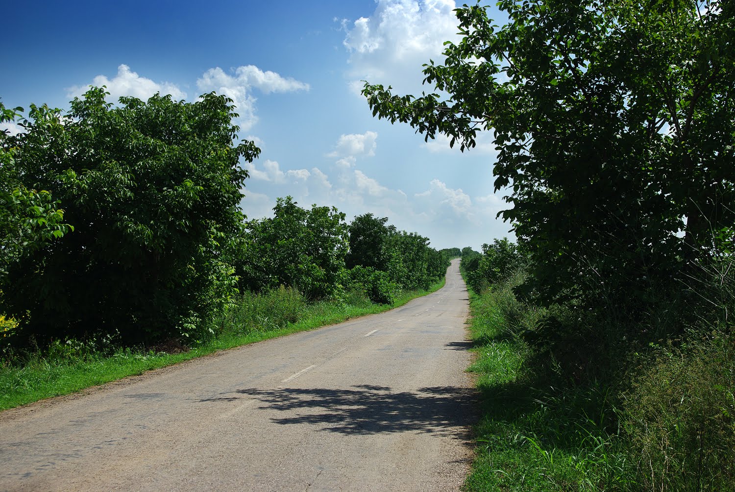 Romanian pics | Page 2 | Adventure Rider