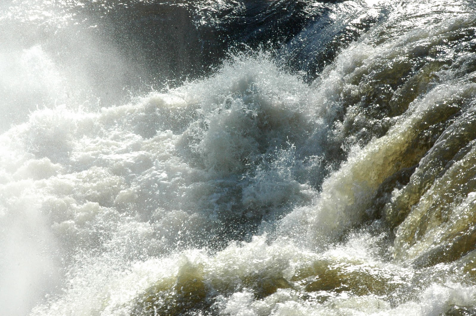 The Writing Life Too: 11/01/2010 - 12/01/2010