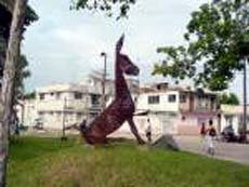 Linde 5 - otro enfoque: El burro Perico, un recuerdo interminable.