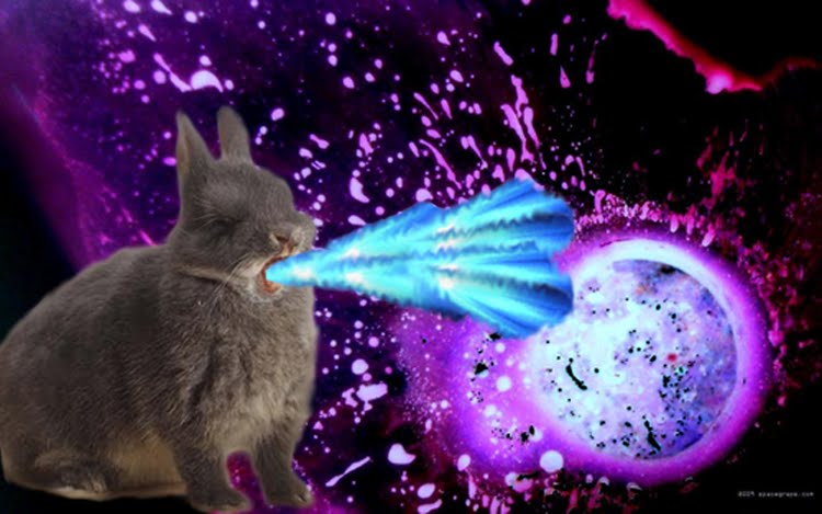 2012 Bunspace calendar now available! : r/Rabbits