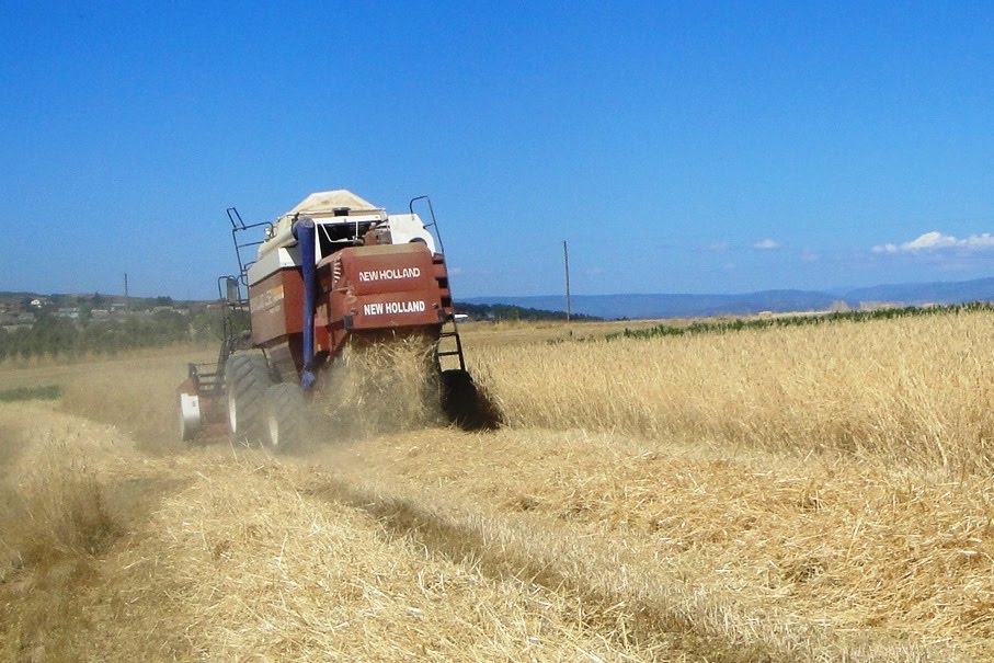 TRAVANCAS DA RAIA: Tempo das segadas