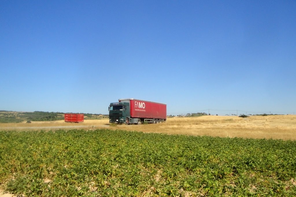 TRAVANCAS DA RAIA: Tempo das segadas