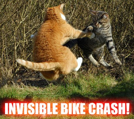 Paris Public Library Teen Blog: The Best Invisible LOLCats