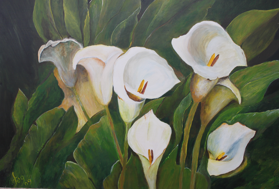 CALAS PARA PINTAR - Imagui