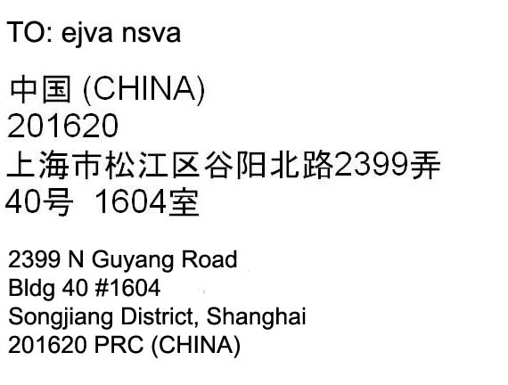 Chinese Mail-Art: Ejva Nsva - Shanghai China