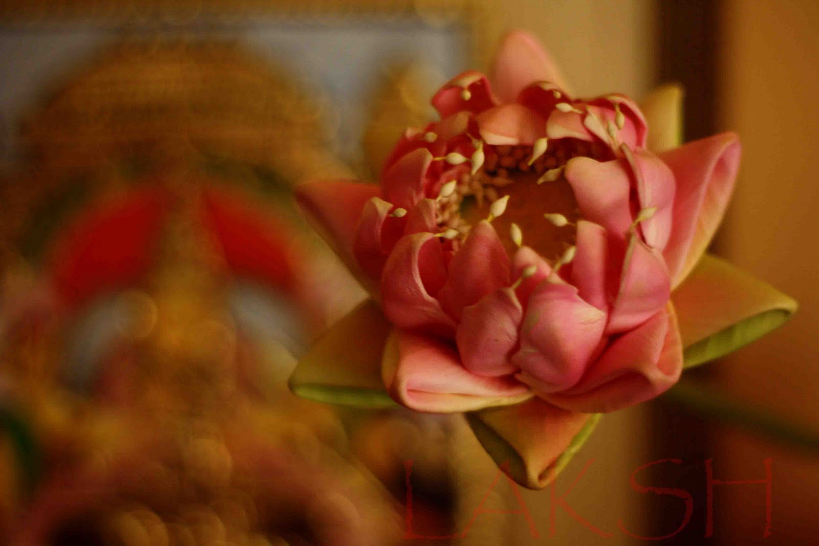 Celebrations Decor - An Indian Decor blog: Celebrating love, light and ...