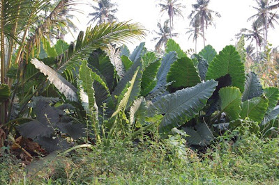 sítios e estados: Matabala...