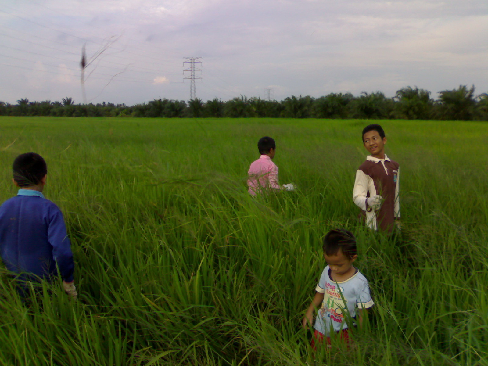 BAKTI DISEMAI DAN JANJI DITUNAI: KAWALAN RUMPAI SECARA INSANI ( 68 HLT )