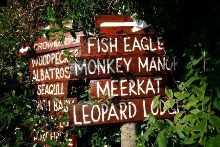 Cape Point Route: Monkeying it Up at Monkey Valley