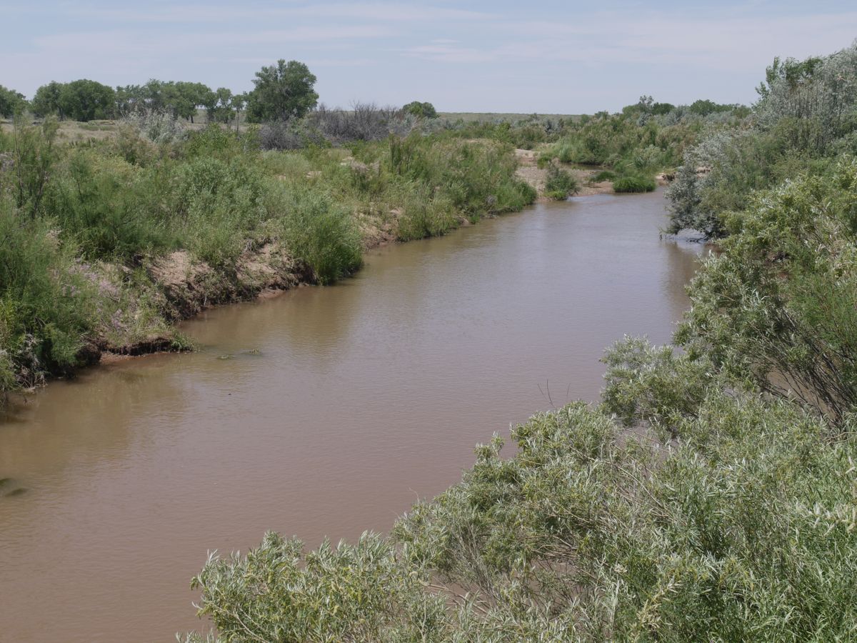 Don Gill - Walking: Bosque Redondo