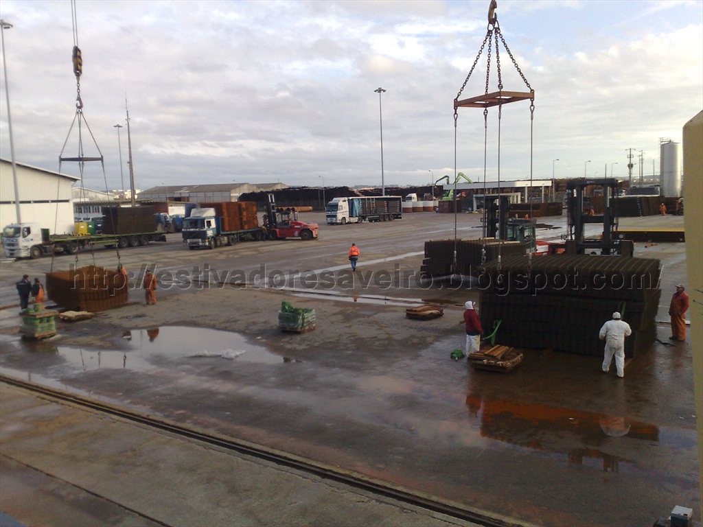 Navio NESTOR ~ Estivadores de Aveiro