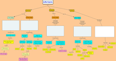 Scientist's Corner: Life Cycle - Mind Mapping