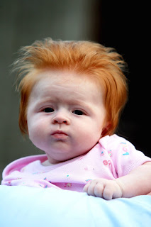 Look at this Ginger: Baby Ginger Pouts