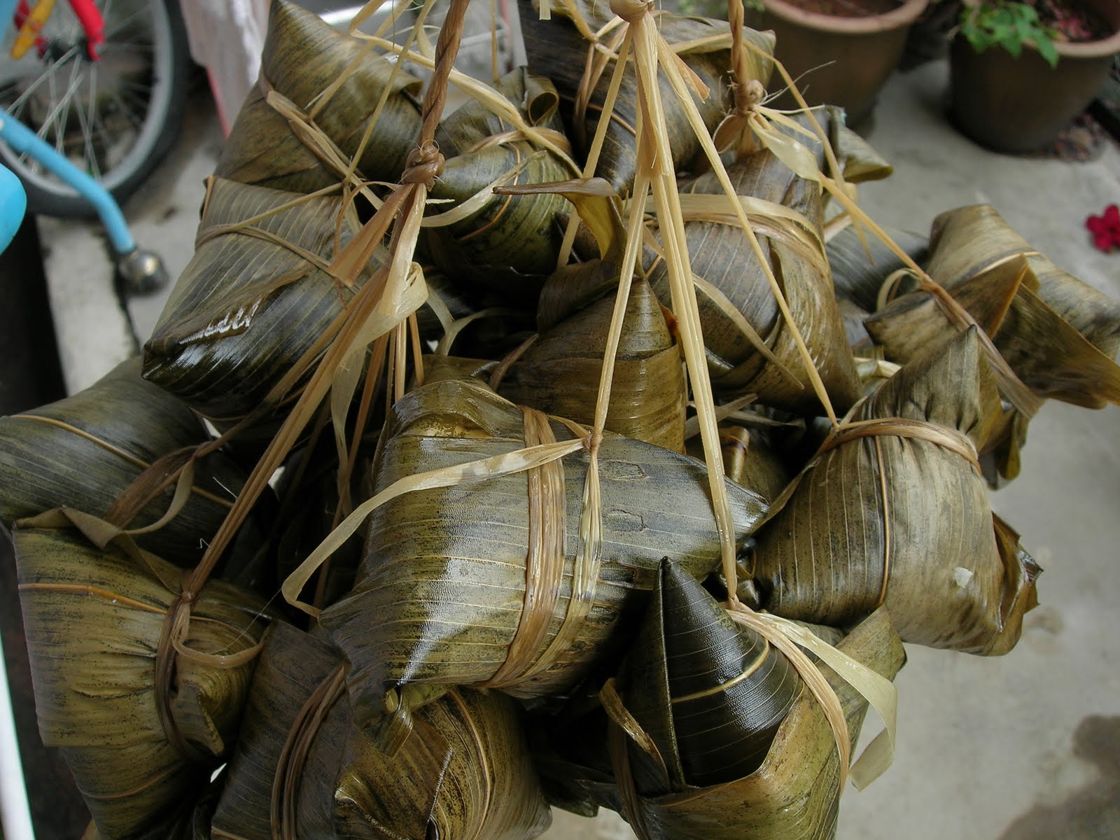 Dumplings - Nyonya Chang - Foodelicious!
