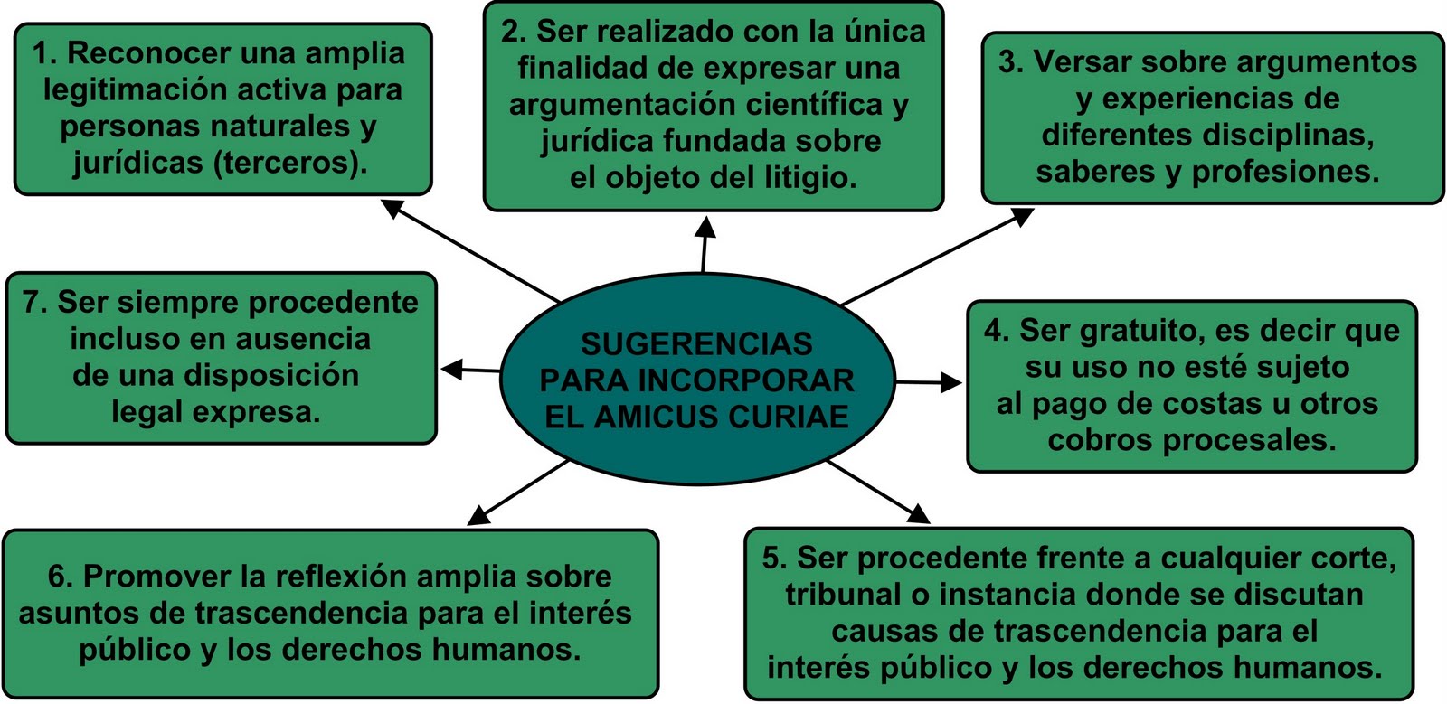NAYID ABU FAGER SAENZ Ph.M., LL.B.: Amicus Curiae