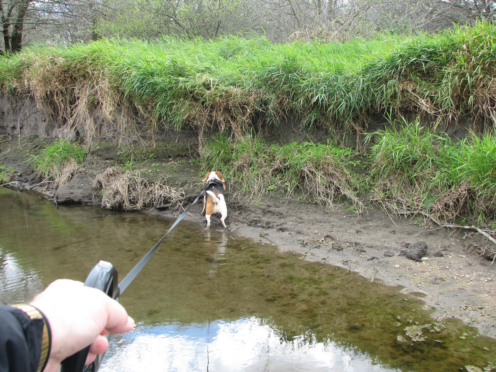 Musings from Illinois: Oak Ridge Forest Preserve 10-3-10