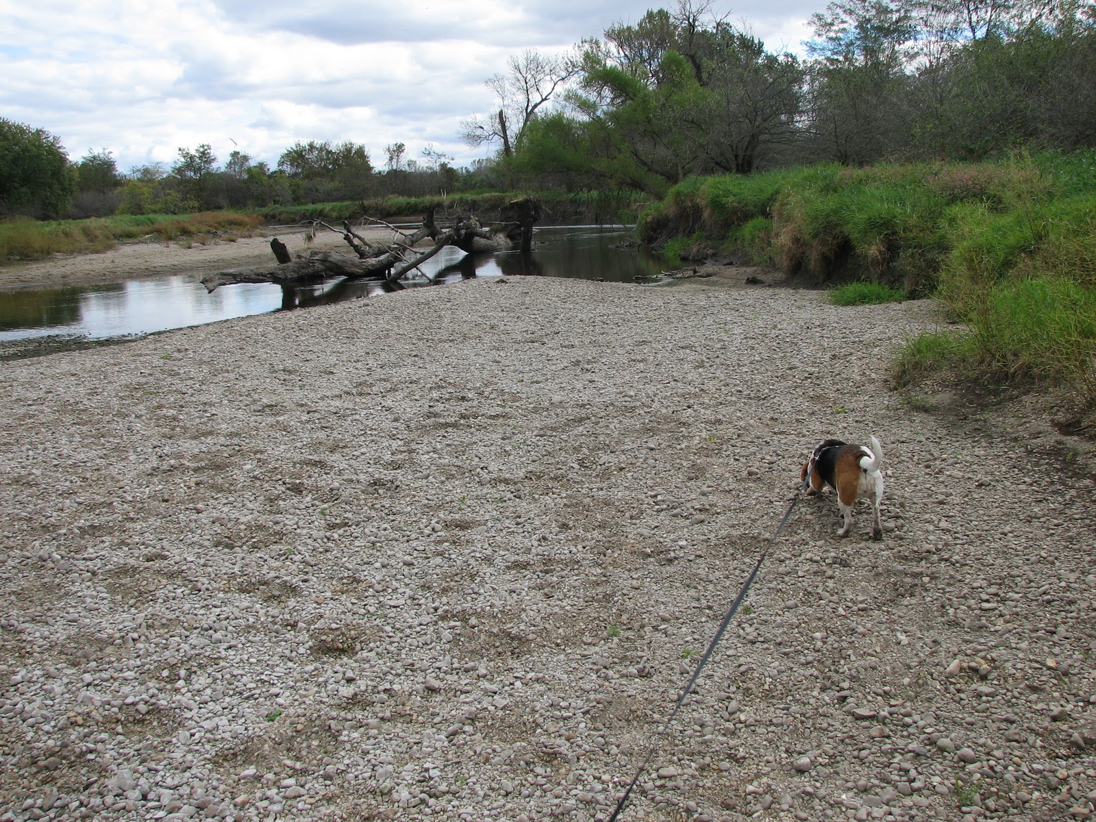 Musings from Illinois: Oak Ridge Forest Preserve 10-3-10