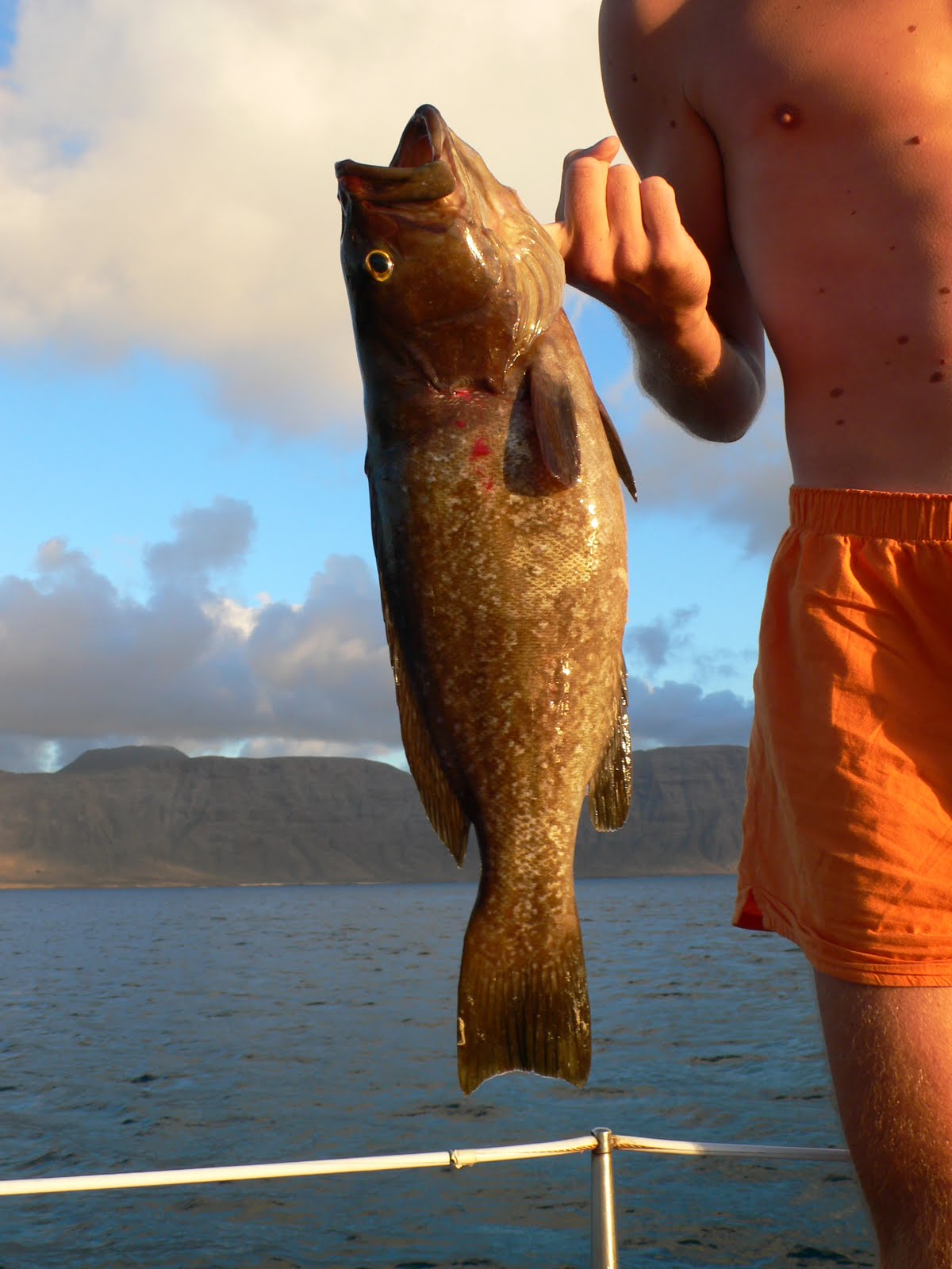 le baiser du cachalot: La criée du cachalot
