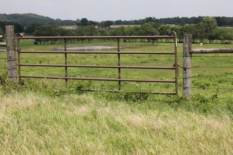 THE PASTURE GATE