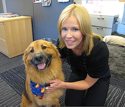 Doggie Matchmaker: The Happy Ending Project: Chelsea Handler's dog ...