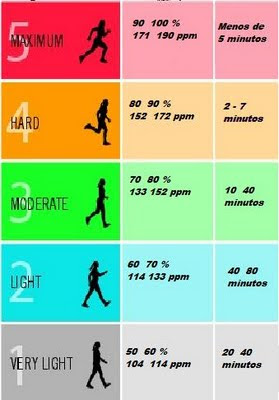 Educación Física CPR "Santa María de la Peña": ¿Cómo tomar el pulso?