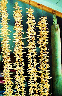 Apron Strings and Favorite Things: We Call'em Shuck Beans