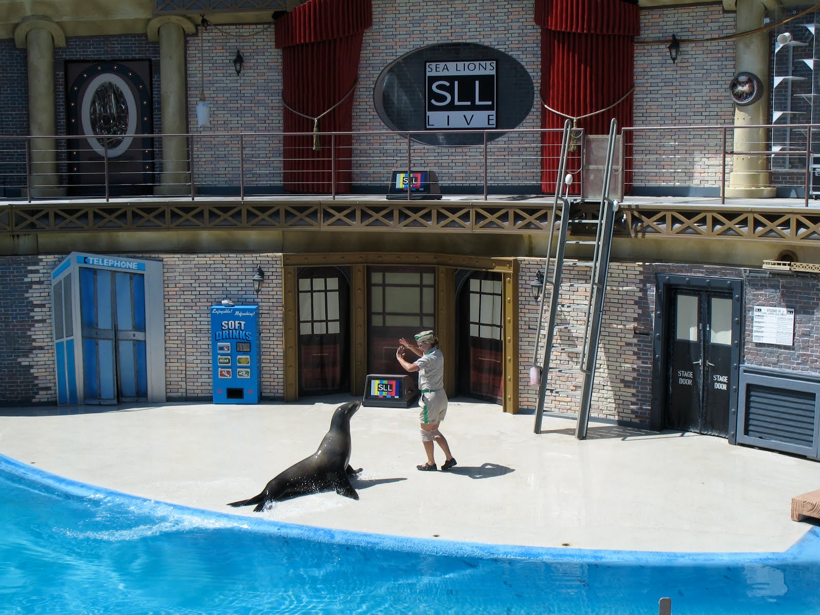 Hannah's Happenings: SeaWorld Sleepover