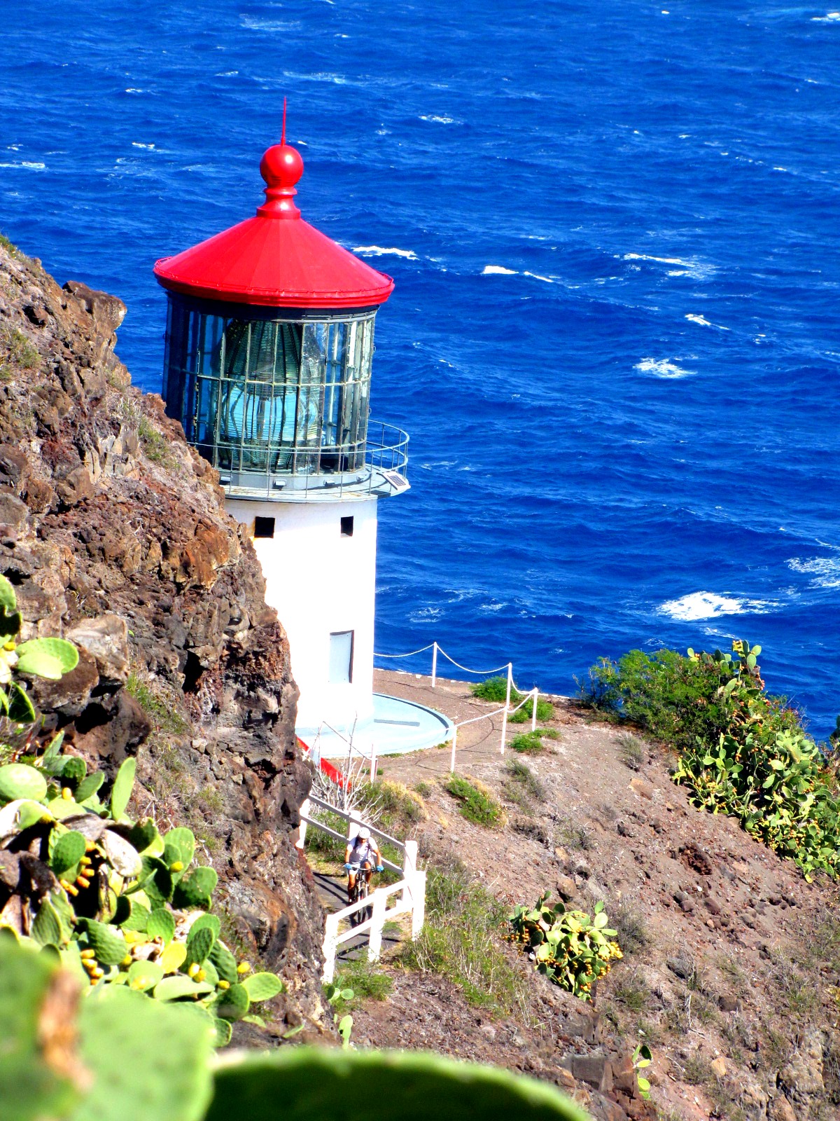 Tammy's Hiking Blog: Makapu'u Lighthouse - December 1st, 2010