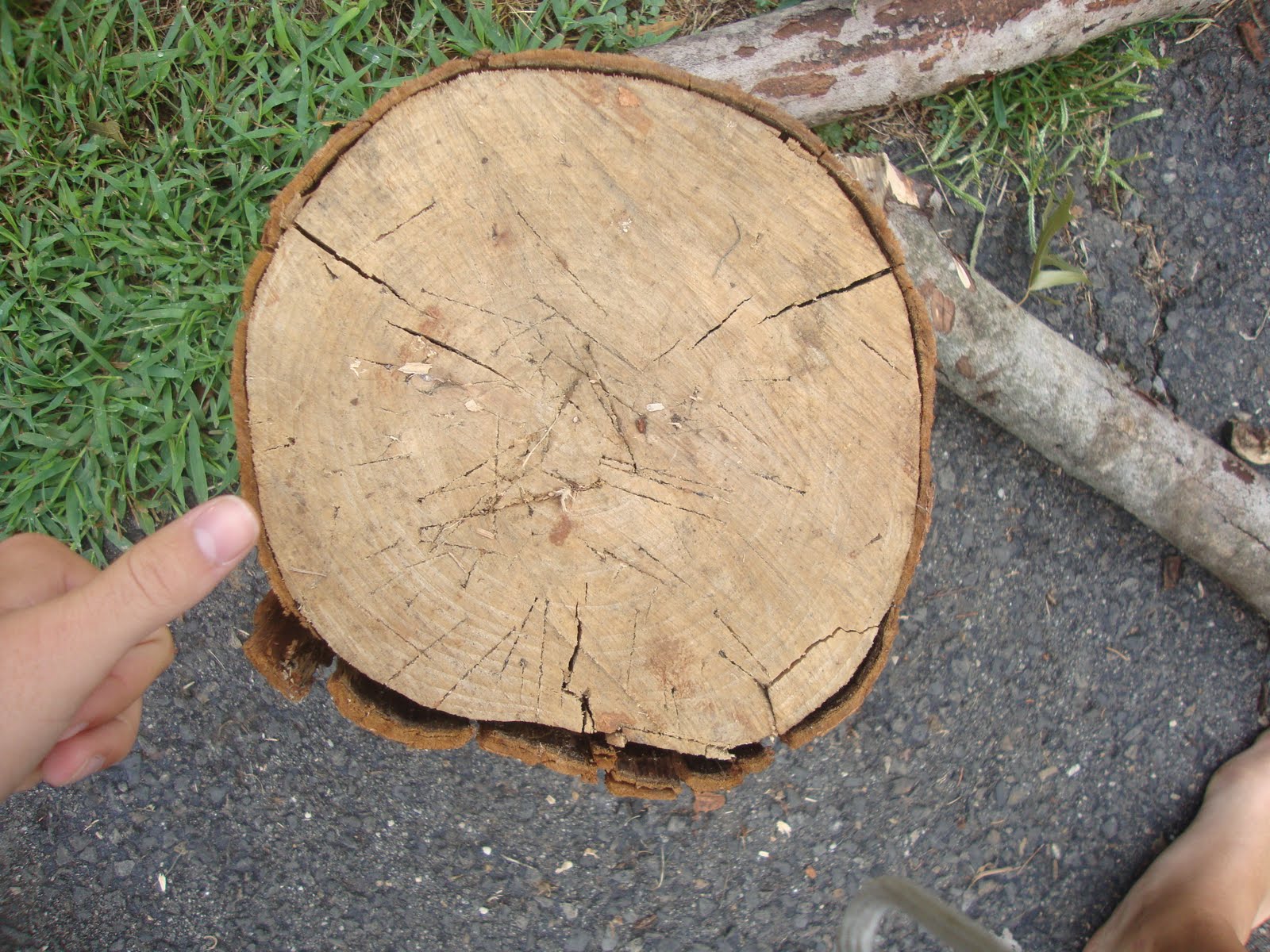 NBC AP Biology 10-11