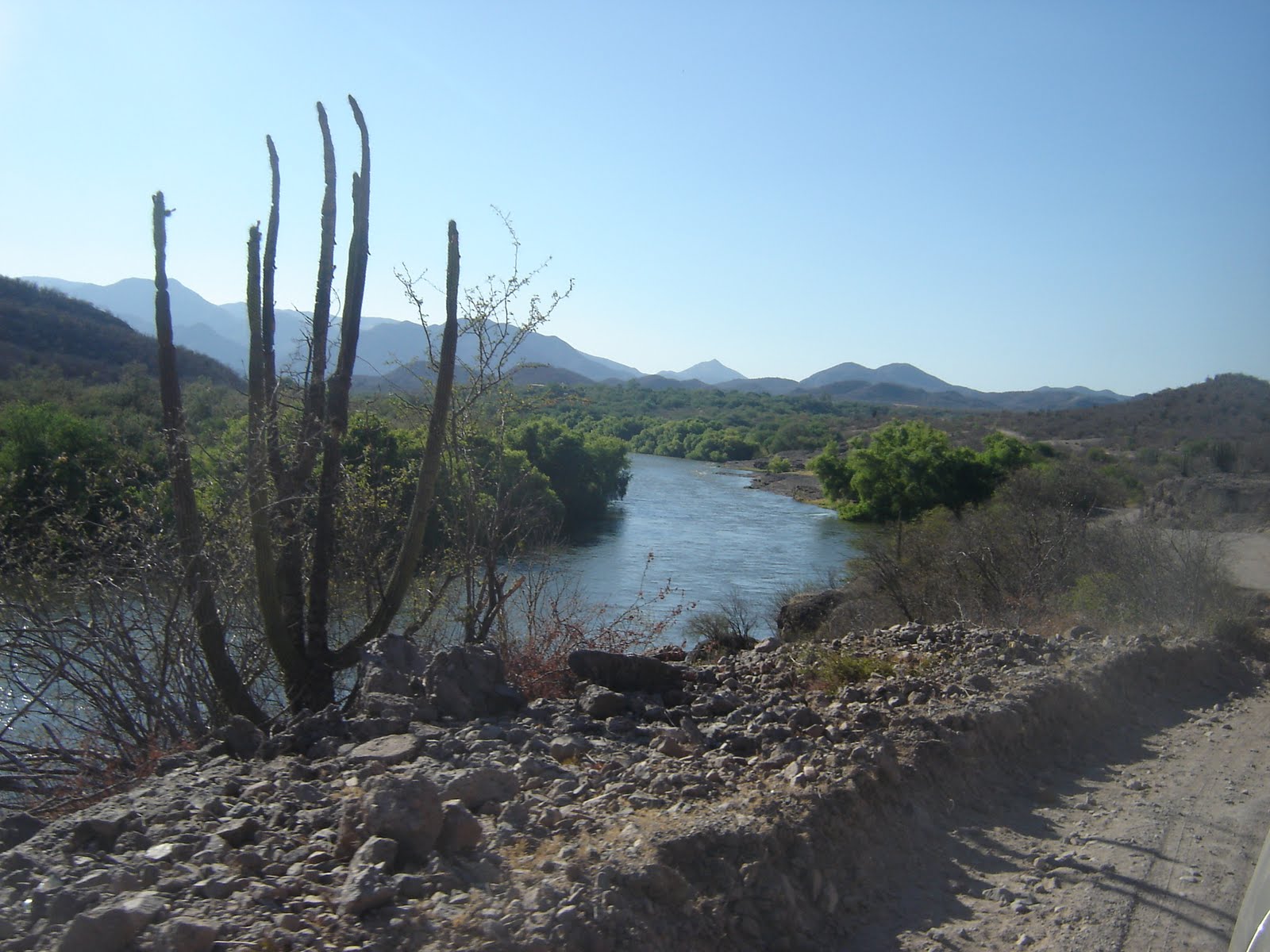 TONICHI SONORA: TONICHI SONORA