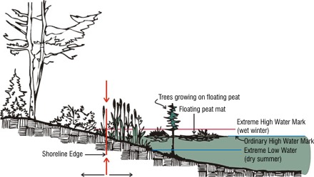Angle Lake Shore Club: OMG watz OHWM?!