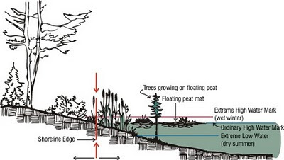 Angle Lake Shore Club: OMG watz OHWM?!