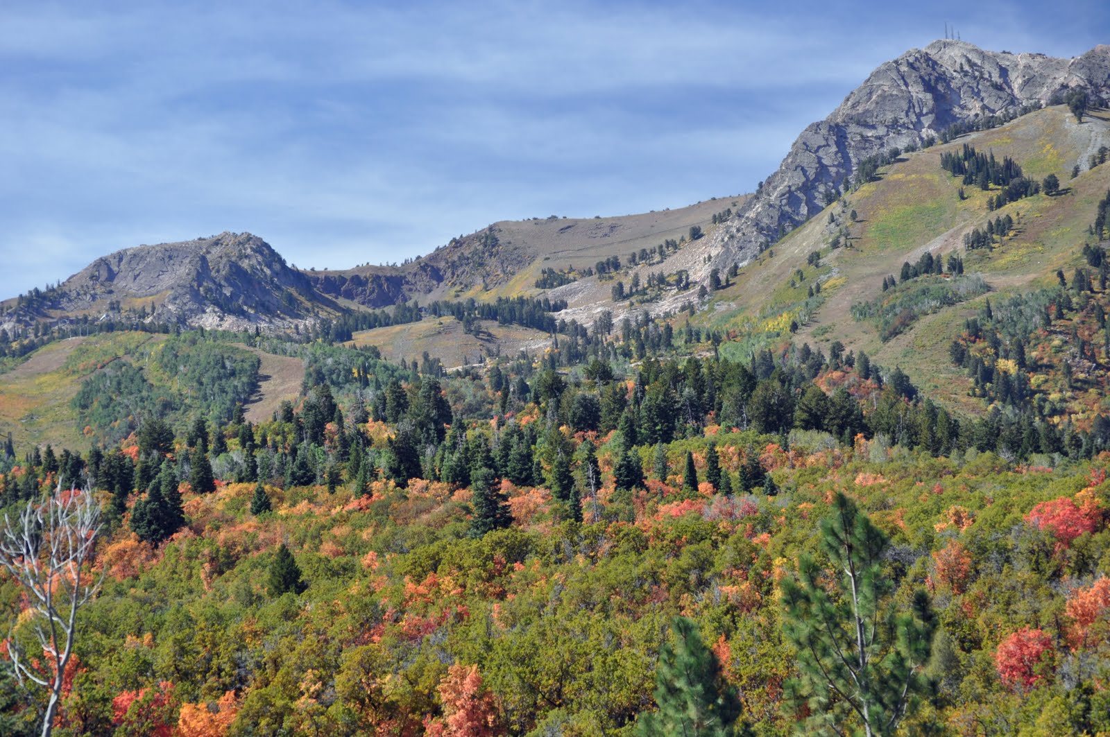 Utah Fall Color Watch: Fall in Ogden Valley