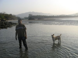 Spoof of Hutch Dog ad. | Pcz World