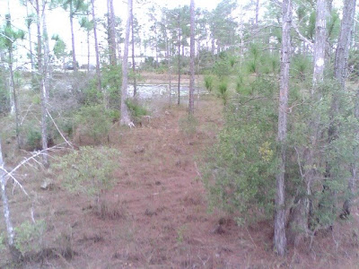 university colliquim: 1/13 fgcu nature trails