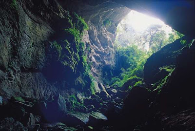 El Conde Cutervo: Parque nacional de Cutervo: Vida en el bosque de la nube