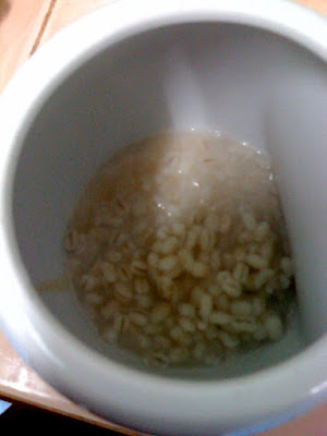The Unexpected Journey of My Life....: air barli susu...