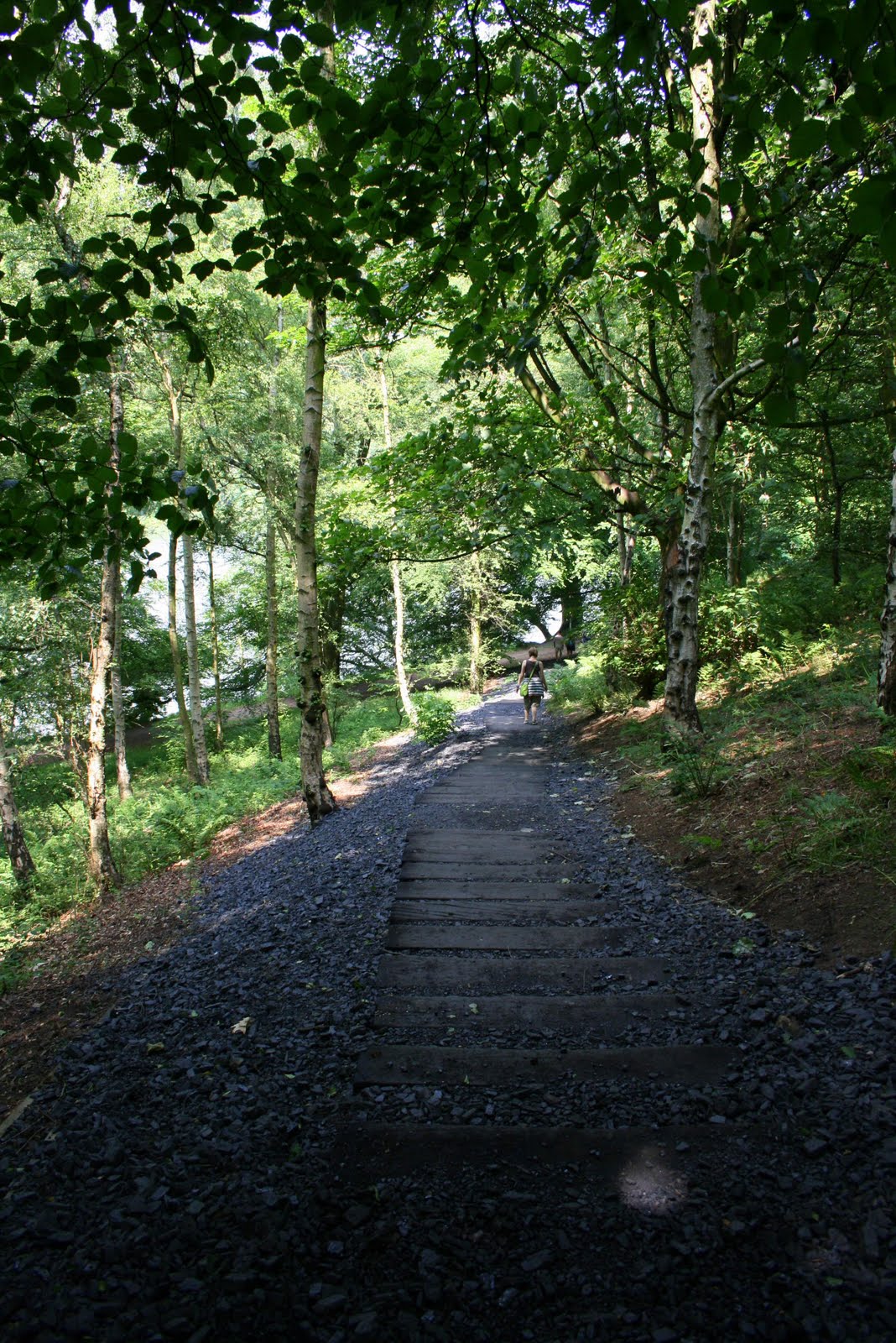 Landscape PING!: Yorkshire Sculpture Park #3 - David Nash