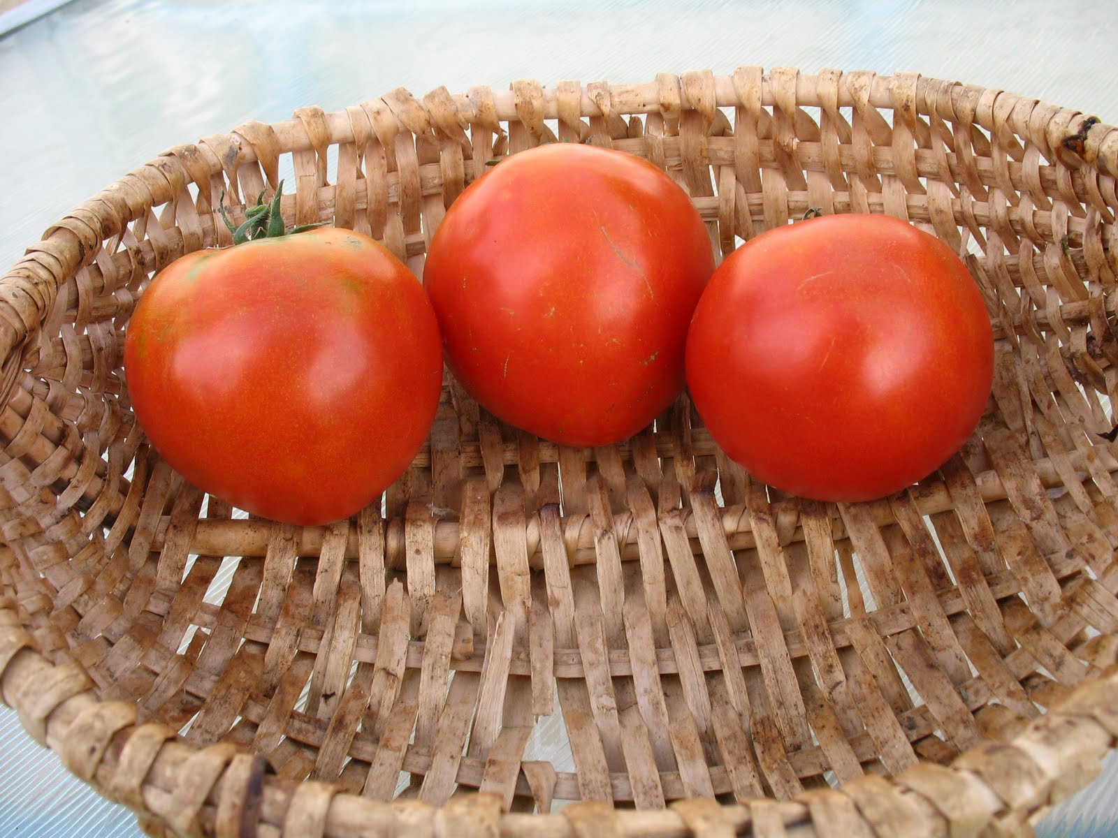 Larrys weed free vegetable garden: First Tomatoes